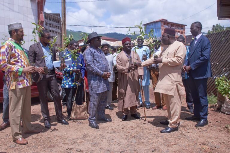 Tree planting within Tubah Municipality – Tubah Council